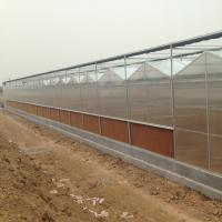 China Modern venlo hot dip galvanized steel pipe polycarbonate greenhouse structure Multi-Span Commercial pc sheet green house cooling system for sale