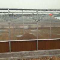 China New Material Uv Protection PC Panel Greenhouse For Growing Vegetables for sale