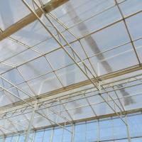 China Low Cost Polycarbonate Sheet Greenhouse For Bananas Cucumber Tomatoes Lettuce for sale
