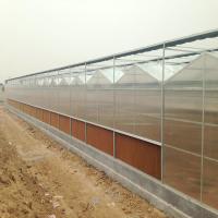 China New Material Uv Protection PC Panel Greenhouse For Growing Vegetables for sale