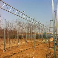 China New Material Uv Protection PC Panel Greenhouse For Growing Vegetables for sale