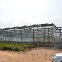 China Wholesale China Supplier Large Multi Span Intelligent Horticulture Commercial Agriculture Glass Flower Greenhouse for sale