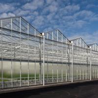 China Wholesale China Supplier Large Multi Span Intelligent Horticulture Commercial Agriculture Glass Flower Greenhouse for sale