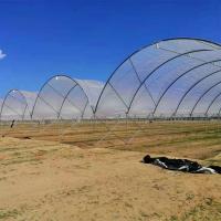 China Cherry/Grape/blueberry planting shed plastic greenhouse planting high tunnel rain shelter greenhouse for sale