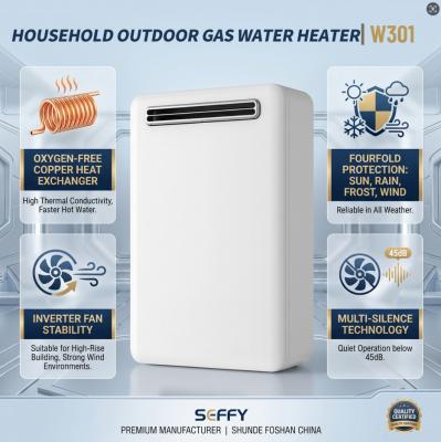 China 20L 24L High Capacity Outdoor LPG Water Heater Tankless Energy Saving Home Shower for sale