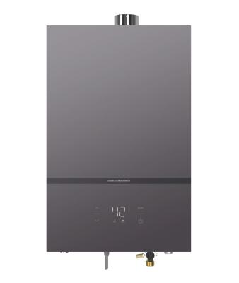 China Wall Hung Natural Gas Tankless Water Heater 12-16L LPG Instant Hot Water Heater for sale