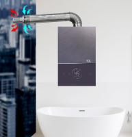 China Twin Wall Chimney Gas Water Heater 10L Sealed Combustion Safe for Airtight Rooms for sale