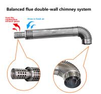 China Twin Wall Chimney Gas Water Heater 10L Sealed Combustion Safe for Airtight Rooms for sale