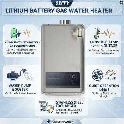 China CE Certified 18L Propane Gas Water Heater Indoor Whole House Ultra Quiet with Lithium Battery for sale
