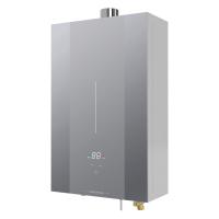 China Premium Residential Natural Gas Water Heater 90% Efficiency Wall Mounted 30% Energy Saving for sale