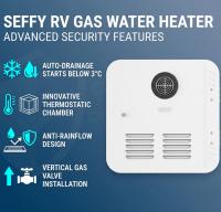 China RV Tankless Water Heater Propane 65000 BTU On Demand 12VDC for Trailer Campervan for sale
