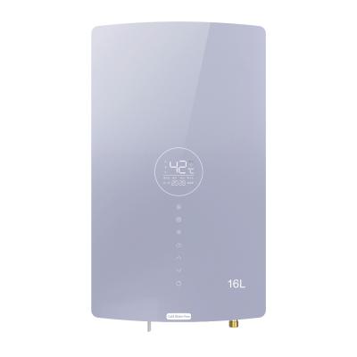 China Energy Saving Smart Gas Boiler Instant Water Heater 12L Copper Heat Exchanger Recirculation Pump for sale