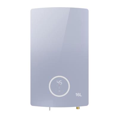 China CE Certified Zero Cold Water Gas Water Heater 12L Corrosion Resistant Copper Heat Exchanger LCD Display Hotel for sale
