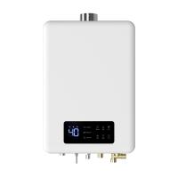 China Stainless Steel Gas Water Heater 12L Energy Efficient Tankless Instant Hot Water Copper Heat Exchanger for sale