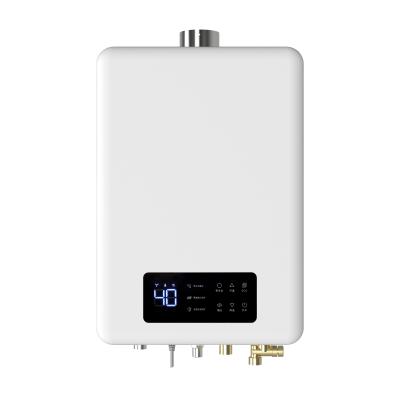 China Stainless Steel Gas Water Heater 12L Energy Efficient Tankless Instant Hot Water Copper Heat Exchanger for sale