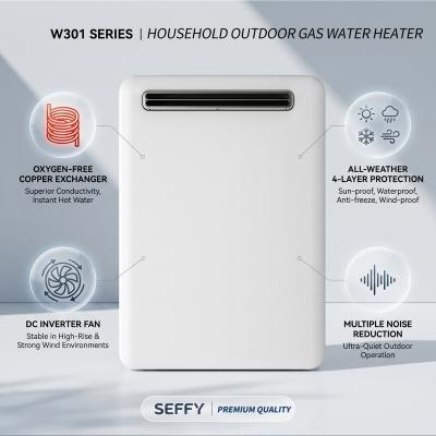 China 20L 24L Outdoor Propane Gas Tankless Water Heater High Capacity 90% Efficiency for sale
