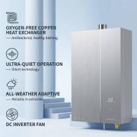 China Compact 12L Gas Water Heater Pure Copper Heat Exchanger Tempered Glass Panel Wall Mounted for sale