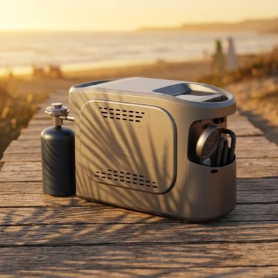 China Portable Outdoor 3L 6L Gas Water Heater for RV Camping Battery Operated 5200mAh 6kW for sale
