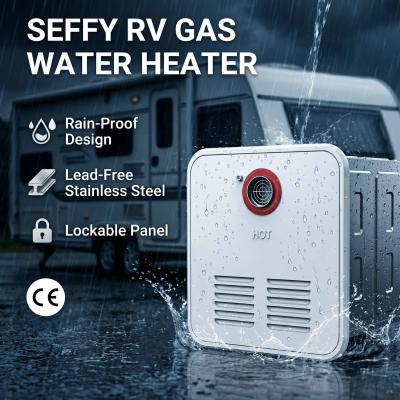 China 15x15 Inch Propane Tankless RV Water Heater Stainless Steel Instant Gas Heater for Camper Caravan for sale