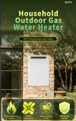 China Outdoor Gas Water Heater 16L 42kW Wind Resistant DC Inverter Ultra Quiet IPX5 Freeze Protection for sale