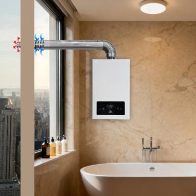 China Balanced Type Home Gas Water Heater 10L Copper Heat Exchanger Rapid Heating Energy Saving for sale
