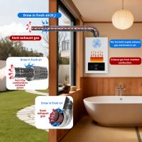 China Balanced Type Home Gas Water Heater 10L Copper Heat Exchanger Rapid Heating Energy Saving for sale