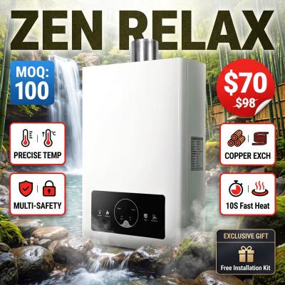 China Foshan Source Factory LPG Gas Water Heater Instant Boiler DC Inverter Constant Temp Cheap Price Middle East Africa Wholesale for sale