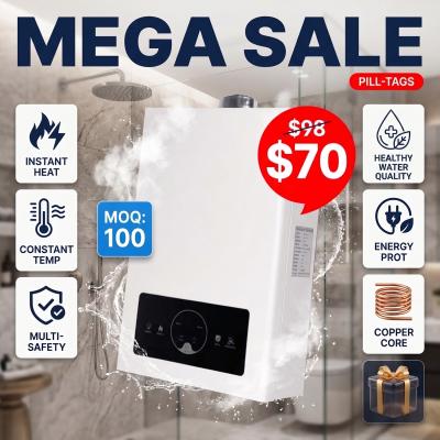 China High Quality Cheap Gas Geyser LPG Instant Water Heater Oxygen-free Copper 10s Fast Heating Middle East Africa South America for sale