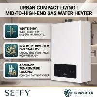 China Foshan Source Factory LPG Gas Water Heater Instant Boiler DC Inverter Constant Temp Cheap Price Middle East Africa Wholesale for sale