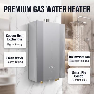 China LPG Gas Water Heater Instant Boiler with 10s Quick Heat Oxygen-free Copper Heat Exchanger 25kW-30kW Power for sale