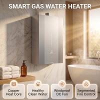 China LPG Instant Water Heater Gas Geyser with Copper Heat Exchanger Impulse Ignition and 25kW-30kW Power for sale
