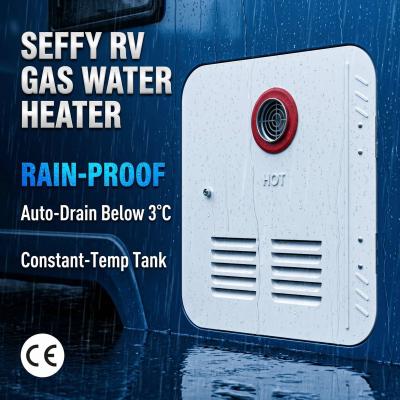China 80,000 BTU Stainless Steel RV Motorhome Tankless Propane Gas Water Heater 12V DC Outdoor Camping Instant Hot On-Demand CE for sale