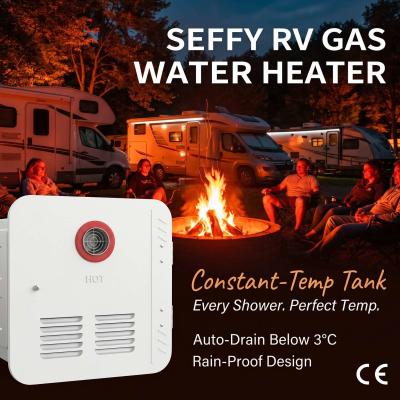 China Hot Selling 80,000 BTU RV Tankless Propane Water Heater Stainless Steel On-Demand Instant 12V DC Outdoor Motorhome Camper Van for sale