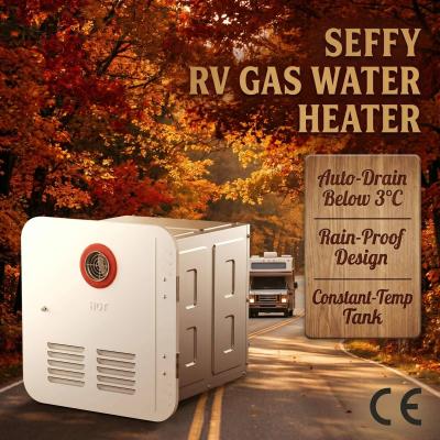 China 12V DC RV Stainless Steel Tankless Gas Water Heater 65k BTU Instant Hot Outdoor Motorhome Caravan Travel Trailer On-Demand for sale