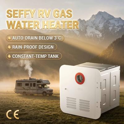 China CE Approved 12V DC On-Demand RV Stainless Steel Gas Water Heater Instant Propane Digital Display Outdoor Motorhome Camper for sale