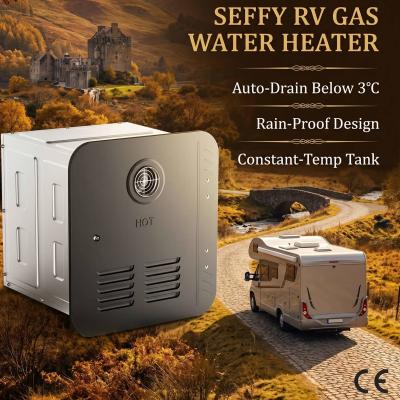 China 65,000 BTU 12V DC Stainless Steel RV Camper Tankless Instant Hot Water Heater Propane LPG Outdoor Gas Geyser Motorhome CE for sale