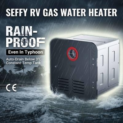 China Compact RV Caravan Tankless Instant Propane Gas Geyser 65k BTU Stainless Steel Outdoor Camping Motorhome 12V DC CE Approved for sale