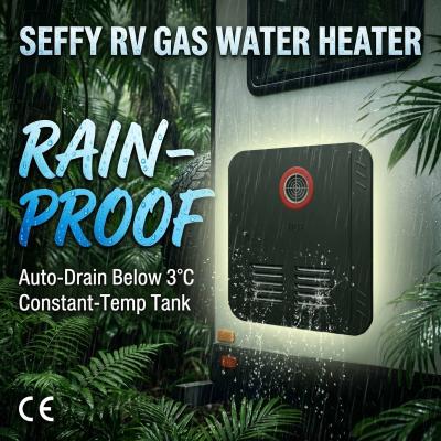 China Drawing-Based Custom RV Tankless Propane Gas Water Heater 80,000 BTU Stainless Steel 304 OEM Factory China Manufacturer CE for sale