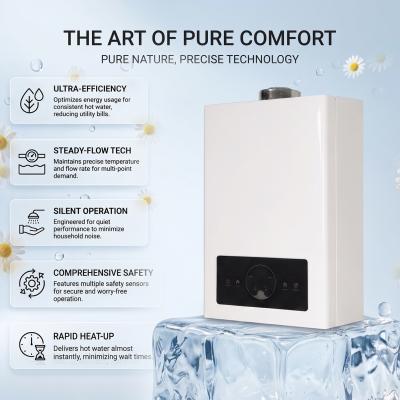 China Constant Temperature DC Inverter LPG Gas Water Heater for Home and Apartment Projects for sale