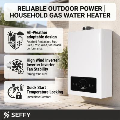 China Reliable Outdoor LPG Gas Water Heater Wall Mounted for Household Hot Water Projects for sale