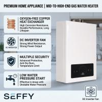 China Premium Home Appliance LPG Gas Water Heater with DC Inverter Fan and Safety Protection for sale
