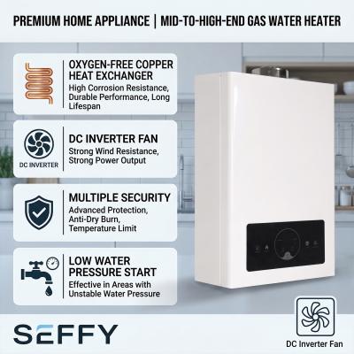 China Premium Home Appliance LPG Gas Water Heater with DC Inverter Fan and Safety Protection for sale