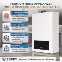China Modern Design Smart LPG Gas Water Heater OEM ODM Factory Wholesale Supply for sale