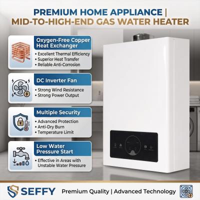 China Modern Design Smart LPG Gas Water Heater OEM ODM Factory Wholesale Supply for sale
