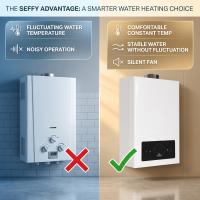China Pure Water Shower LPG Gas Water Heater Constant Temp Multi Safety Wall Mounted Boiler for sale