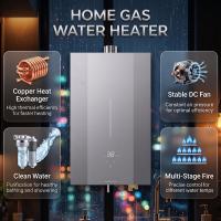 China SEFFY LPG Instant Gas Water Heater Wall Mounted Tankless Boiler for Home Shower for sale