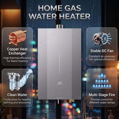 China SEFFY LPG Instant Gas Water Heater Wall Mounted Tankless Boiler for Home Shower for sale