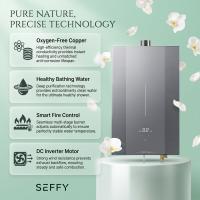 China Factory Wholesale LPG Gas Geyser 12L 16L Wall Mounted Water Heater for Distributors for sale