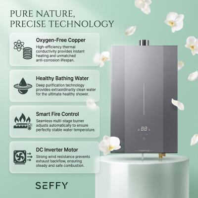 China Factory Wholesale LPG Gas Geyser 12L 16L Wall Mounted Water Heater for Distributors for sale