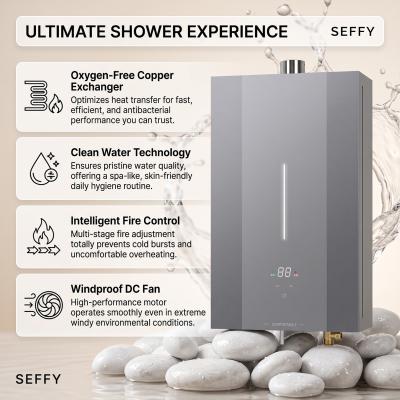 China Copper Heat Exchanger LPG Instant Water Heater for Apartment Bathroom Hot Water for sale